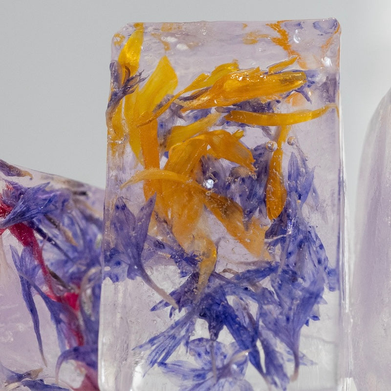 Confetti Edible Flower Petals - Native Tree Farm – Awhi Company