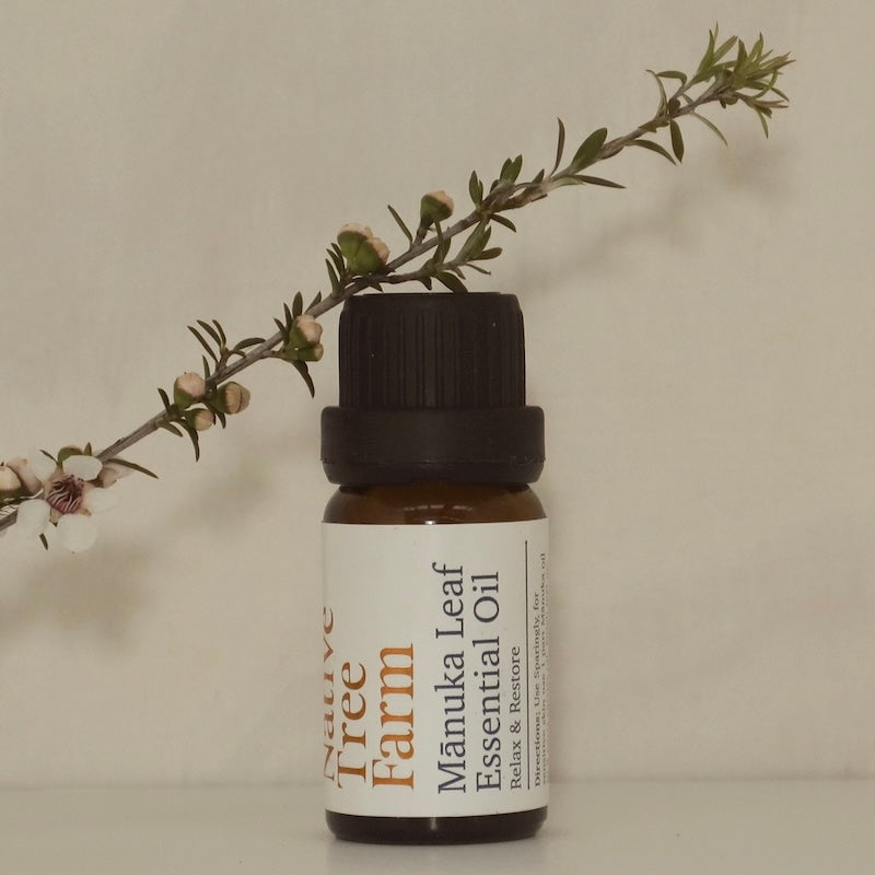 Manuka Leaf Essential Oil (10ml) - Native Tree Farm – Awhi Company